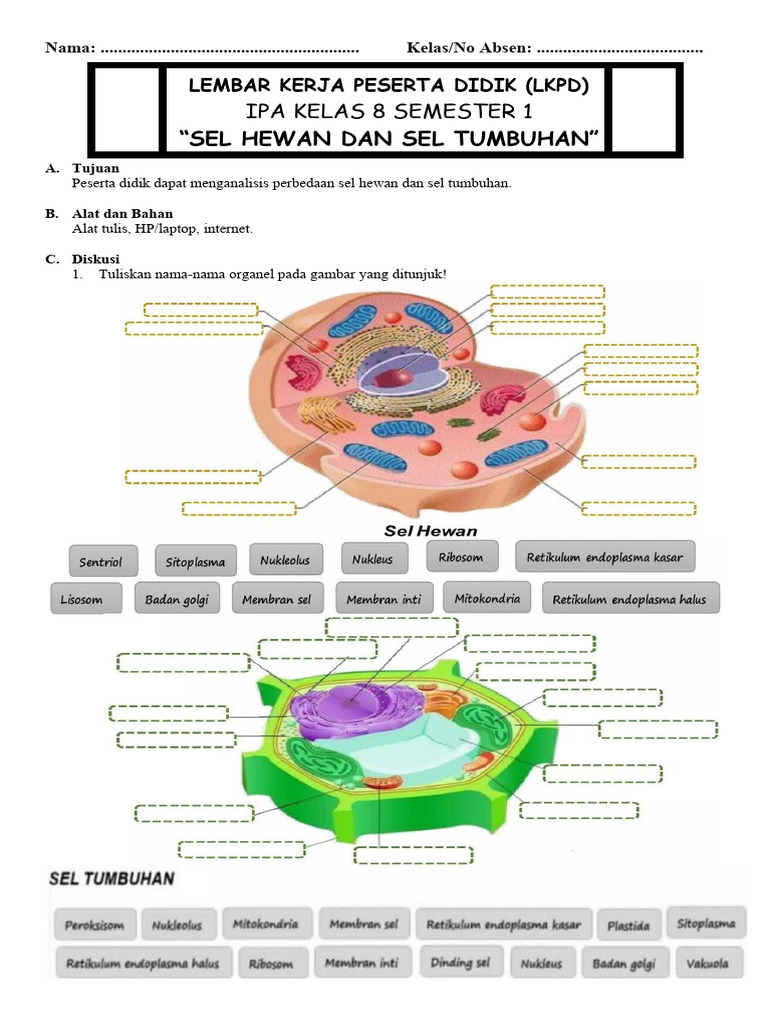 LKPD Sel Hewan Dan Tumbuhan | PDF