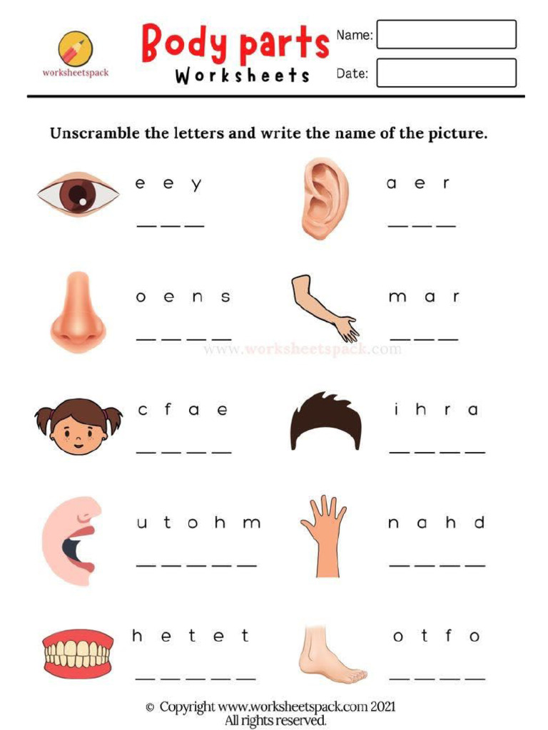 WS Body Part 2 | PDF