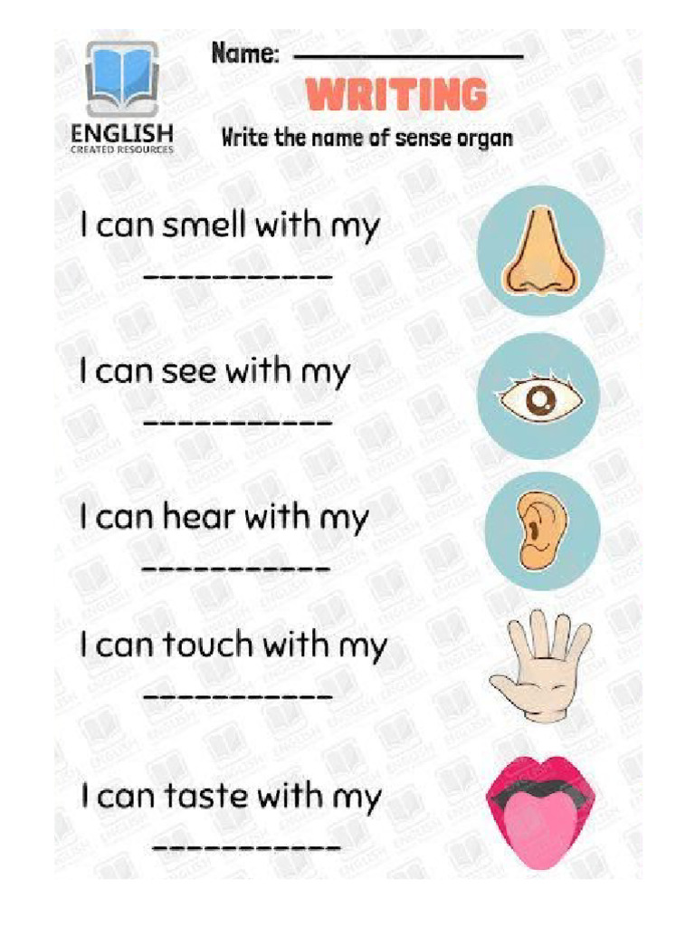 WS Body Part 3 | PDF