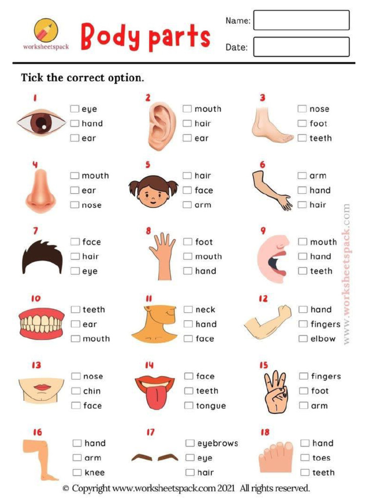 WS Body Part 1 | PDF