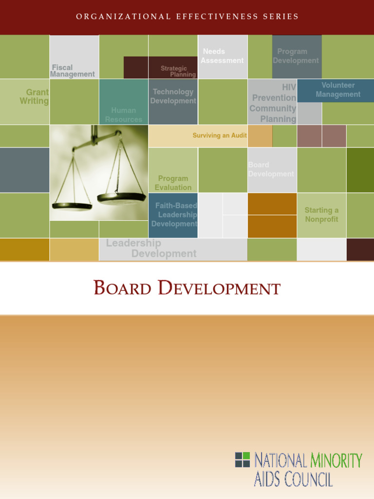 Board Development | PDF | Strategic Planning | Conflict Of Interest