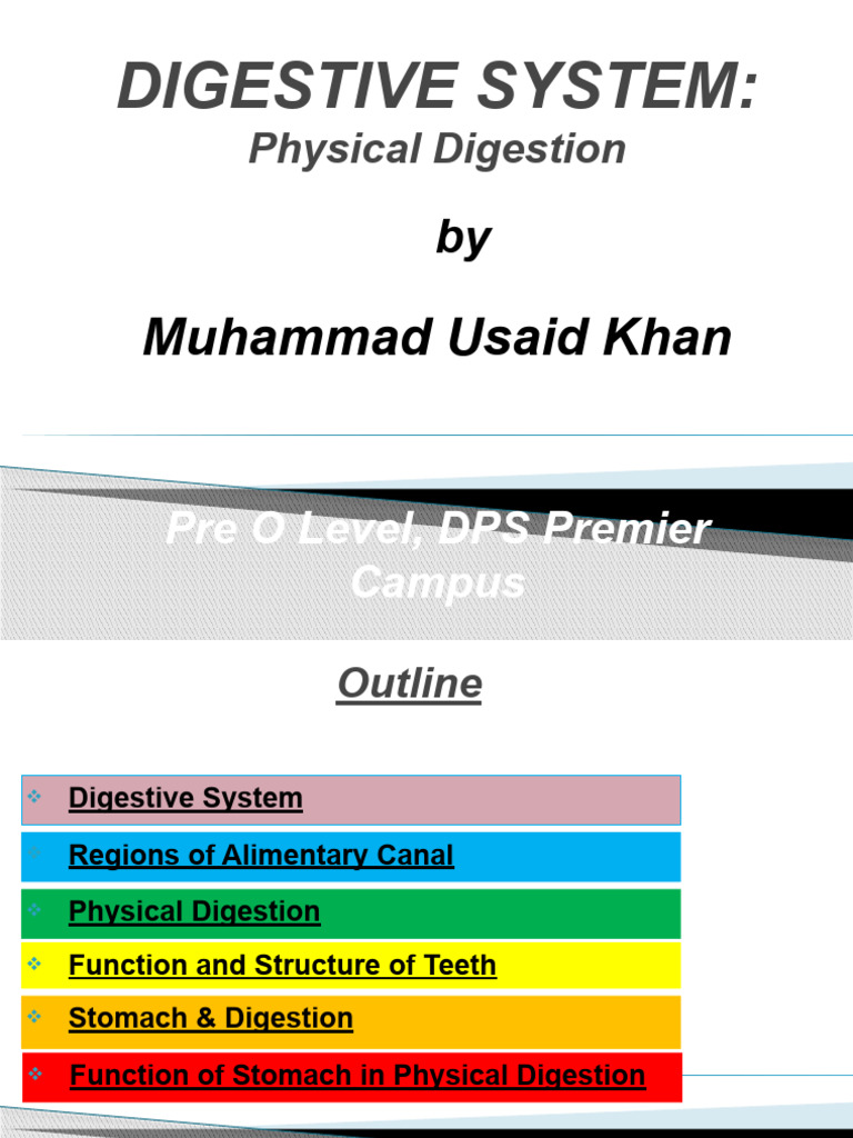 Biology Digestion Presentation (Autosaved) | PDF | Digestion | Stomach