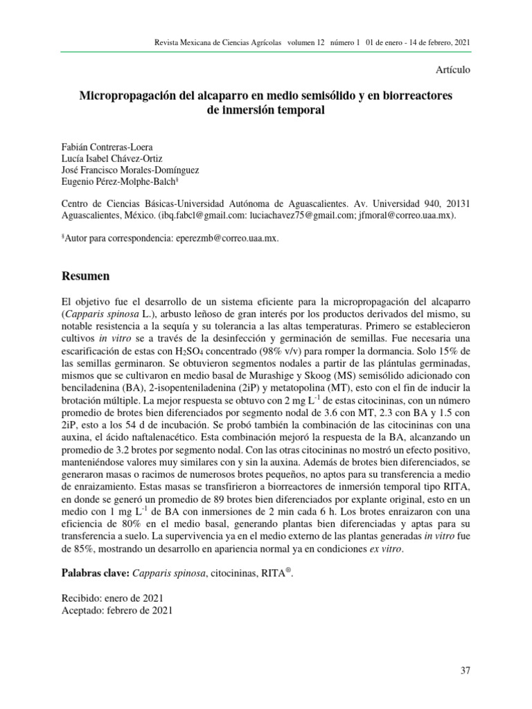 2021 Alcaparro | PDF | Plantas | Botánica