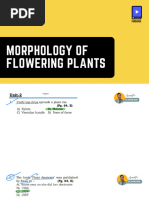 EXERCISE 15 Botany Lab | PDF | Plant Stem | Botany