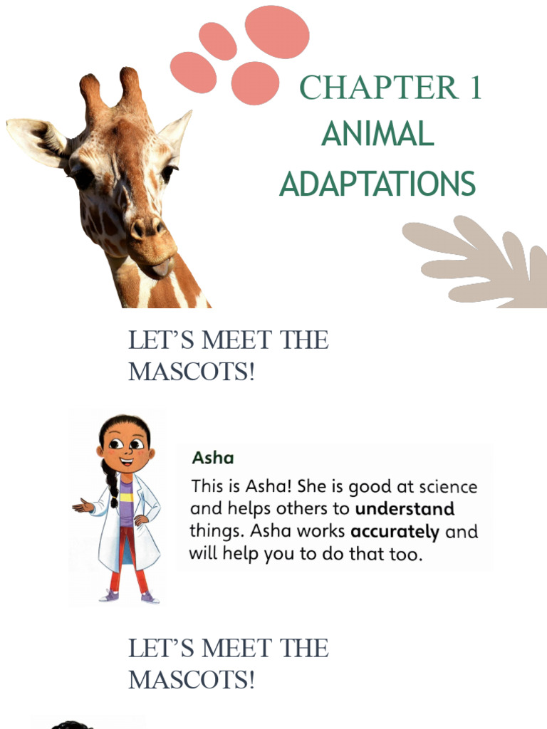 Animal Adaptations | PDF | Predation | Adaptation