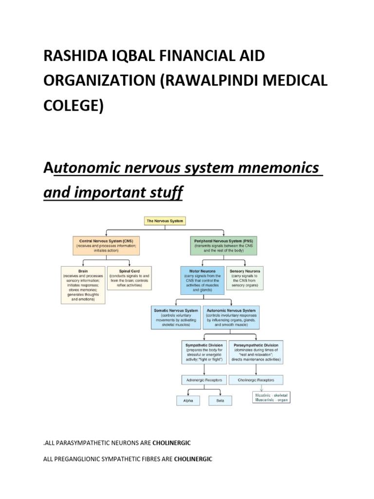Cholinergic Drug Mnemonics and Actions | PDF | Acetylcholine | Drugs ...