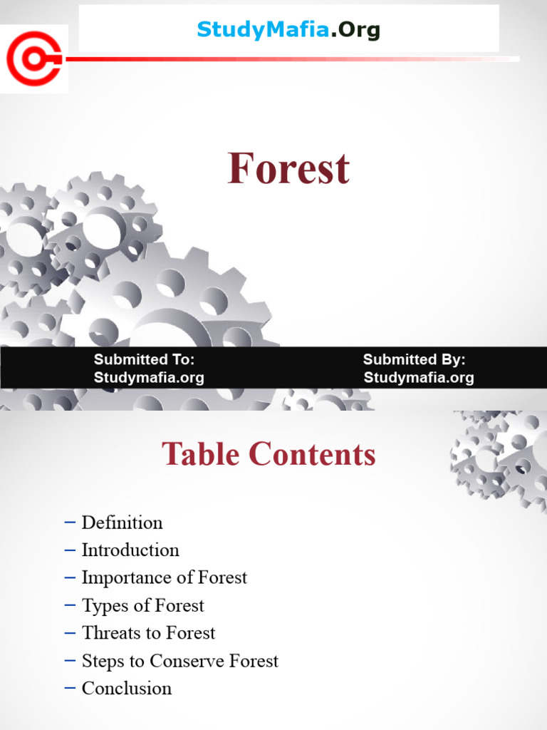 Forest | PDF | Forests | Deforestation