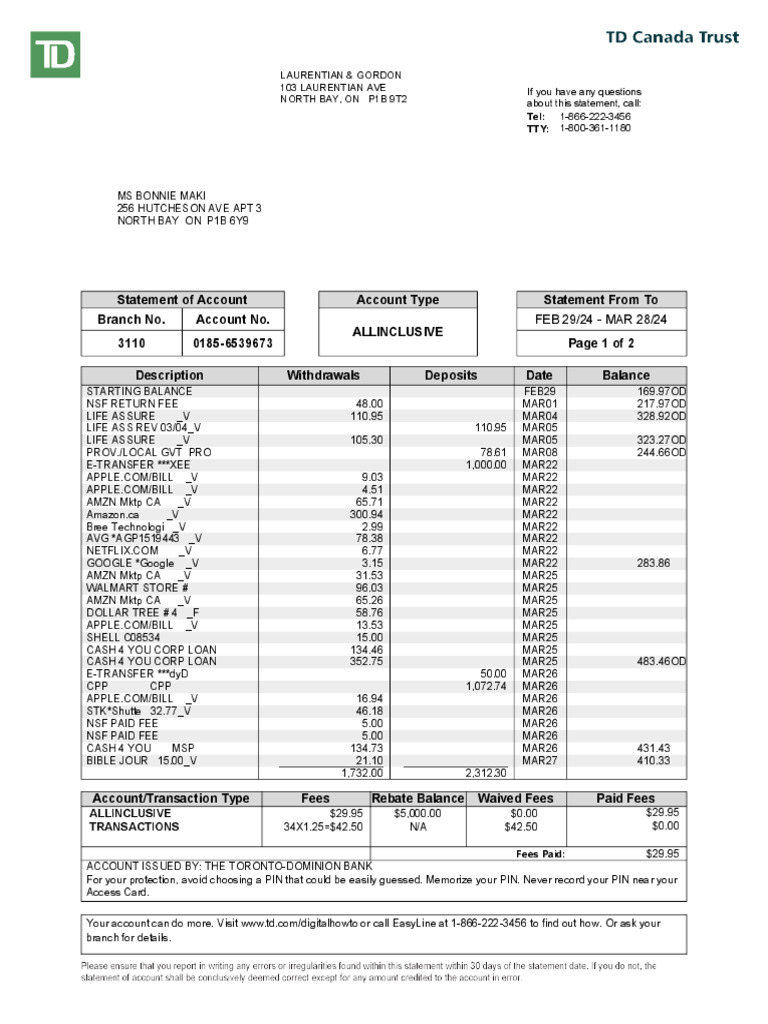Total Account Statement Summary | PDF | Overdraft | Fee