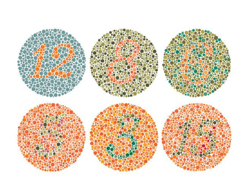 Ishihara Test Plate | PDF