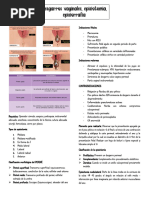 Episiotomía y Episiorrafia | PDF | Parto | Especialidades Medicas