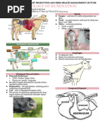 Difference Between Monogastric and Polygastric Gastric Digestion | PDF ...