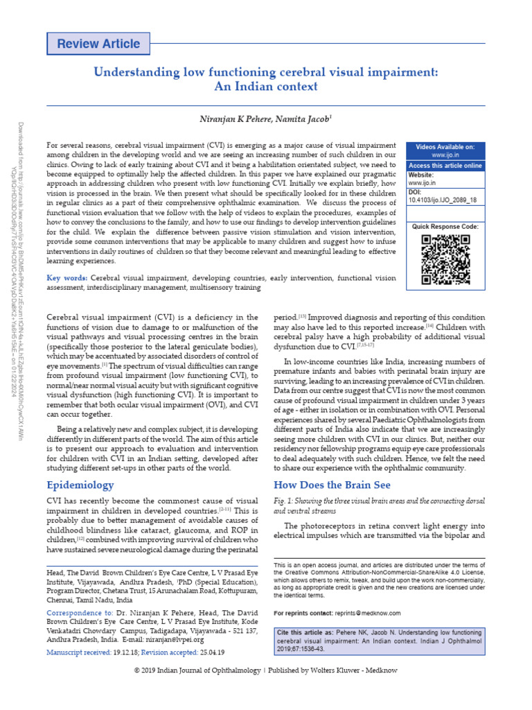 Understanding Low Functioning Cerebral Visual.9 | PDF | Visual ...