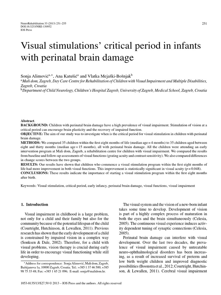 Visual Stimulations' Critical Period in Infants With Perinatal Brain ...