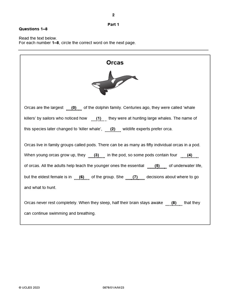 ENGLISH CHECKPOINT 2023 - Removed | PDF | Whales