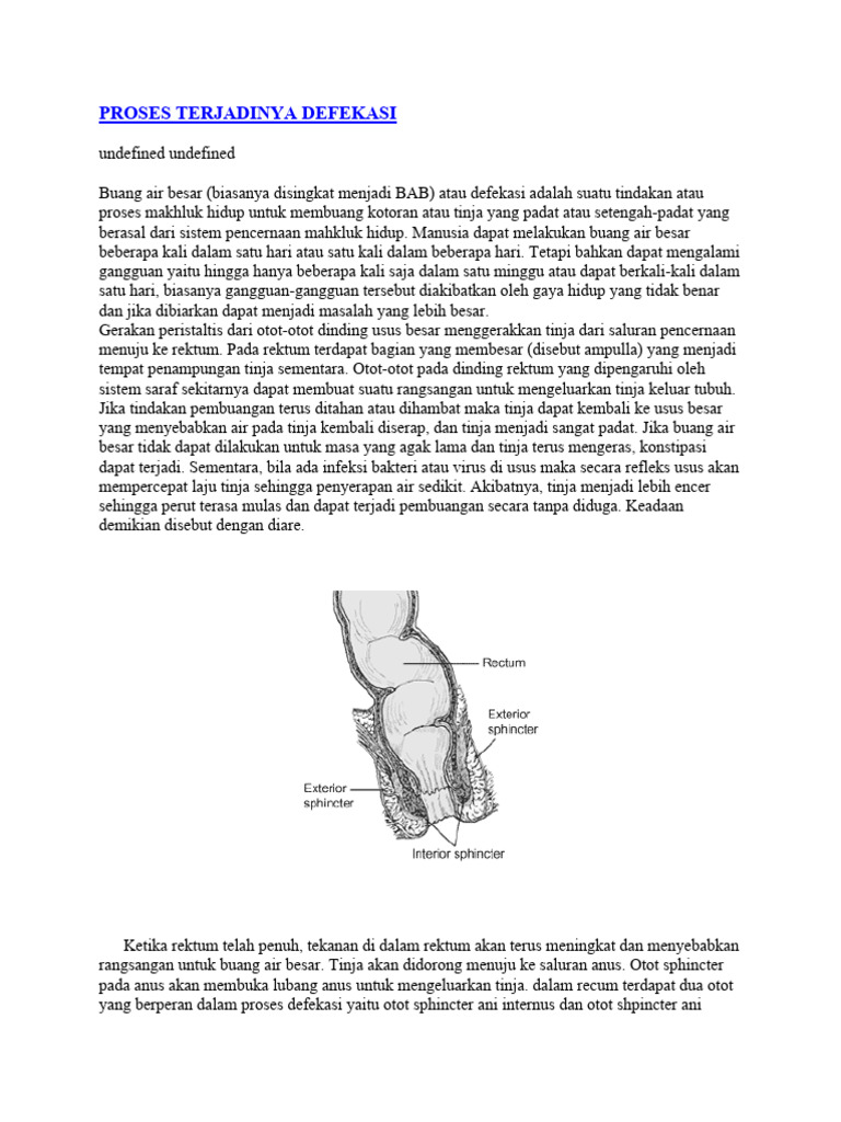 PROSES TERJADINYA DEFEKASI | PDF