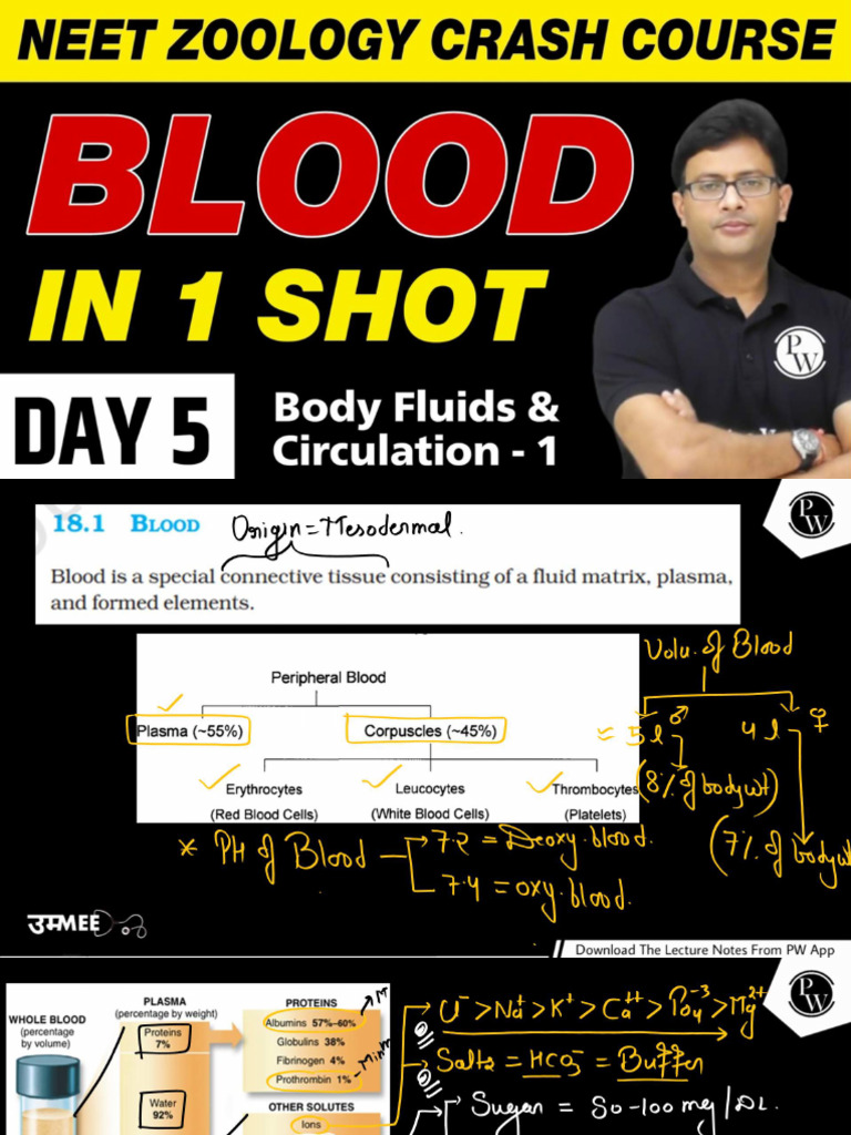 Blood - Body Fluids and Circulation _ Lect Notes | PDF