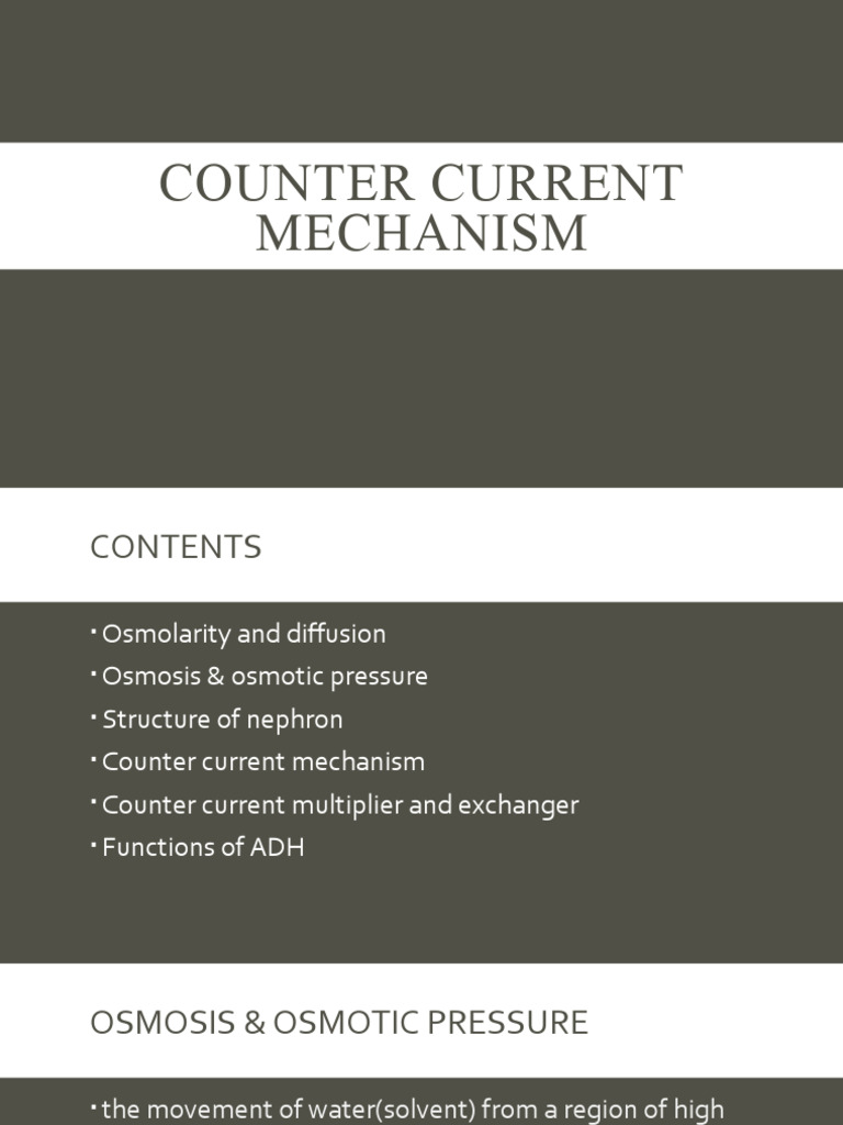 Counter Current Mechanism | PDF | Kidney | Urinary System