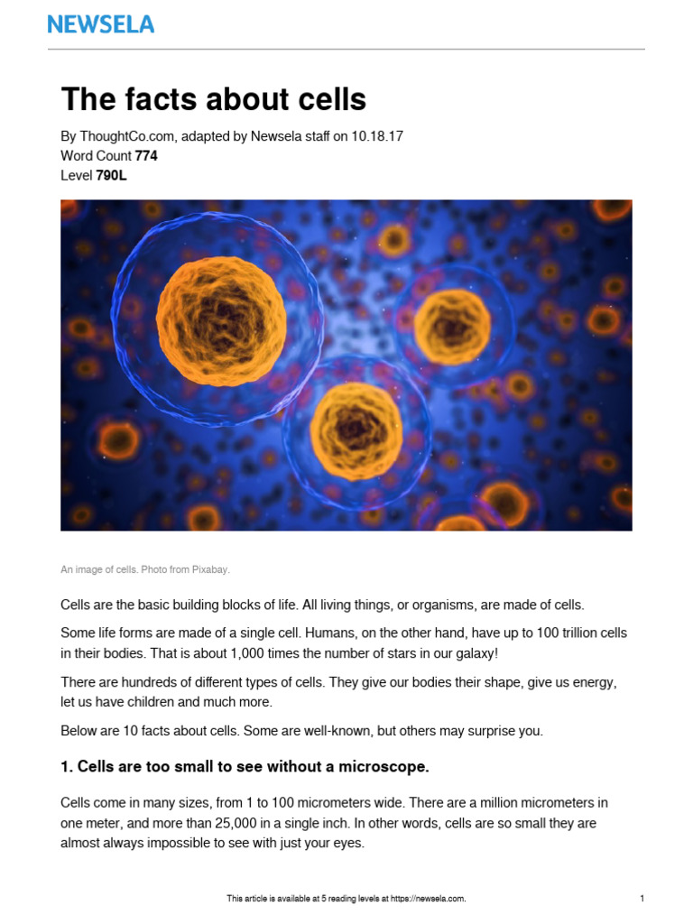 Key Facts About Cells and Prokaryotes | PDF | Cell (Biology) | Prokaryote