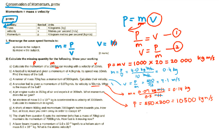 Momentum IGCSE Physics Exercise and Notes | PDF