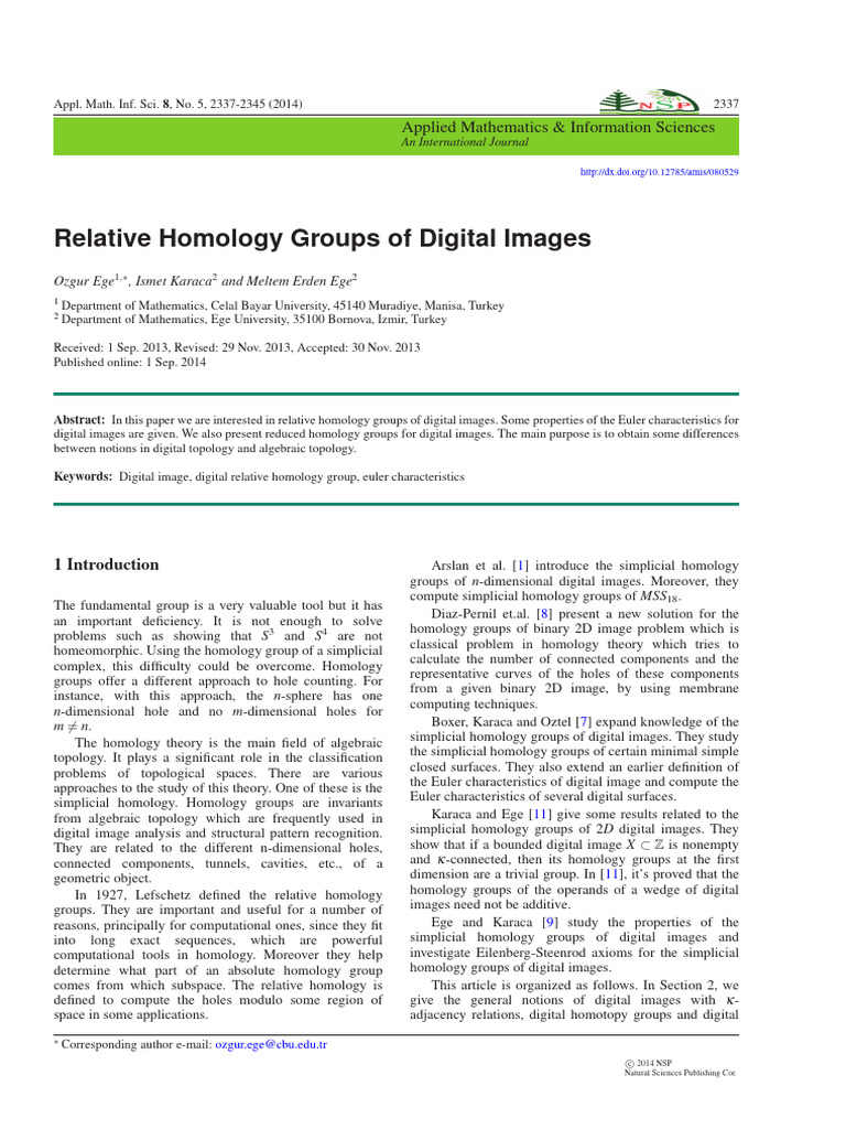 Relative Homology Groups of Digital Images: Applied Mathematics ...