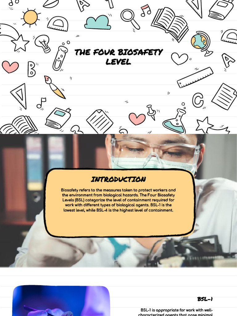 The Four Biosafety Level The Four Biosafety Level The Four Biosafety ...