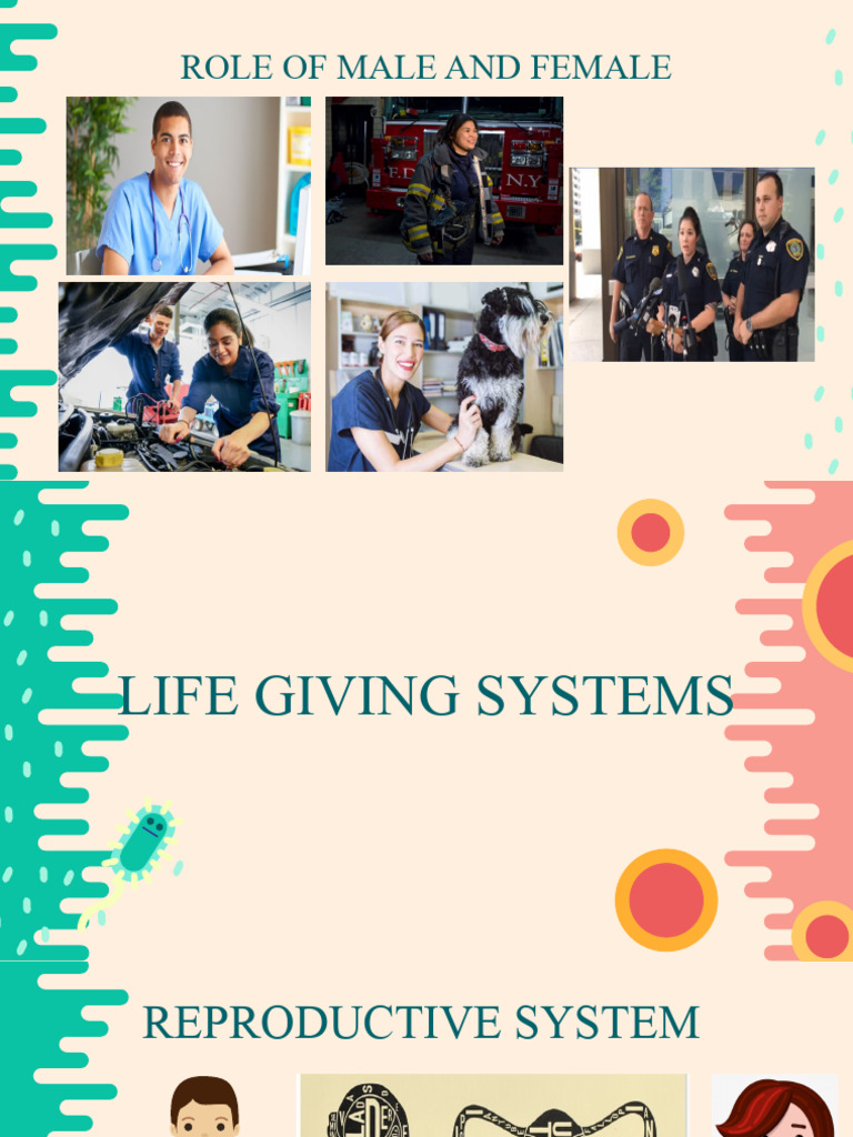 LIFE-GIVING SYSTEMS | PDF | Reproductive System | Mammal Reproductive ...