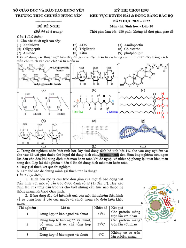 Sinh học 10 - CHY | PDF