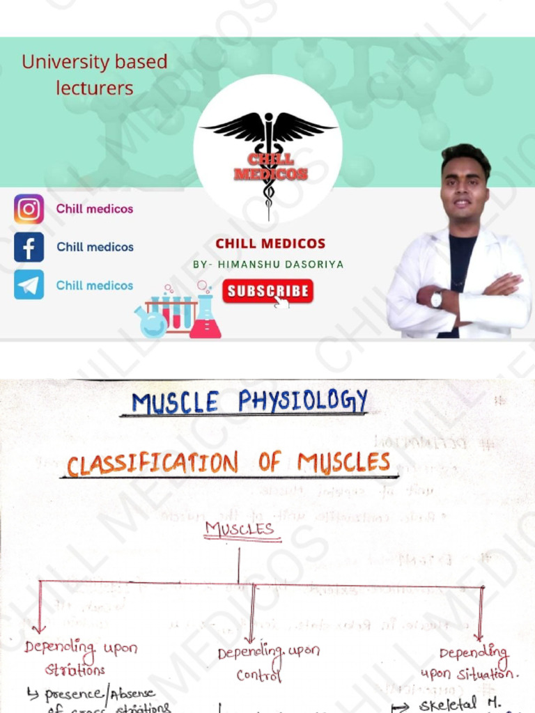 Muscle Physiology | PDF