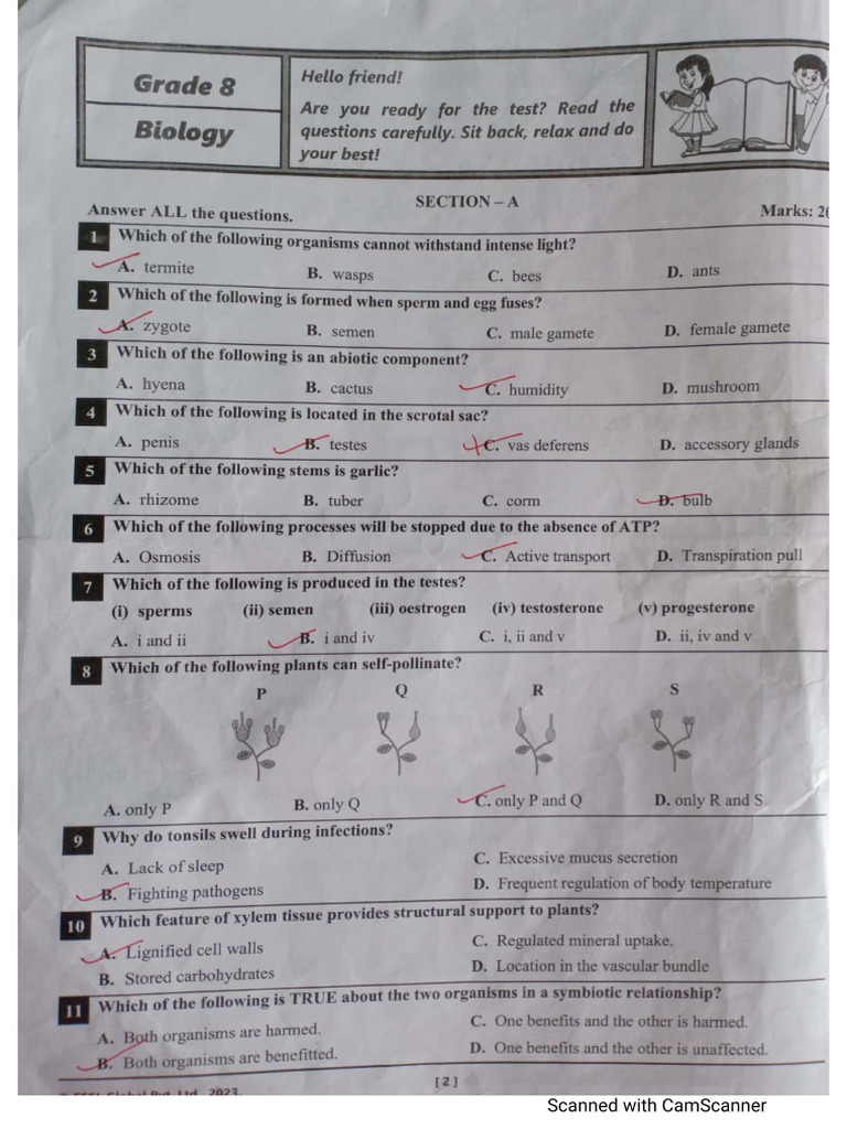 Class 8 Biology HY (23-24) | PDF