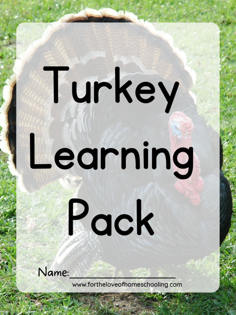 Turkey Learning | PDF