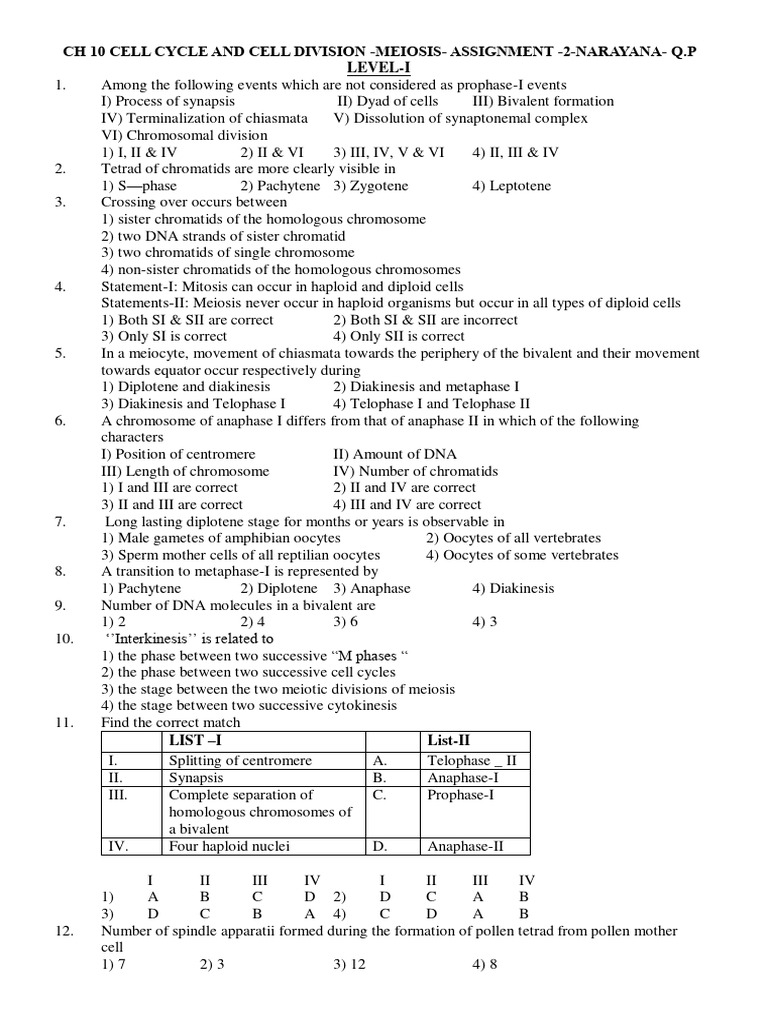CH 10 Cell Cycle and Cell Division Meiosis Assignment 2 Narayana Q.P | PDF | Meiosis | Chromosome