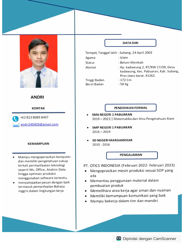 Andri - CV | PDF