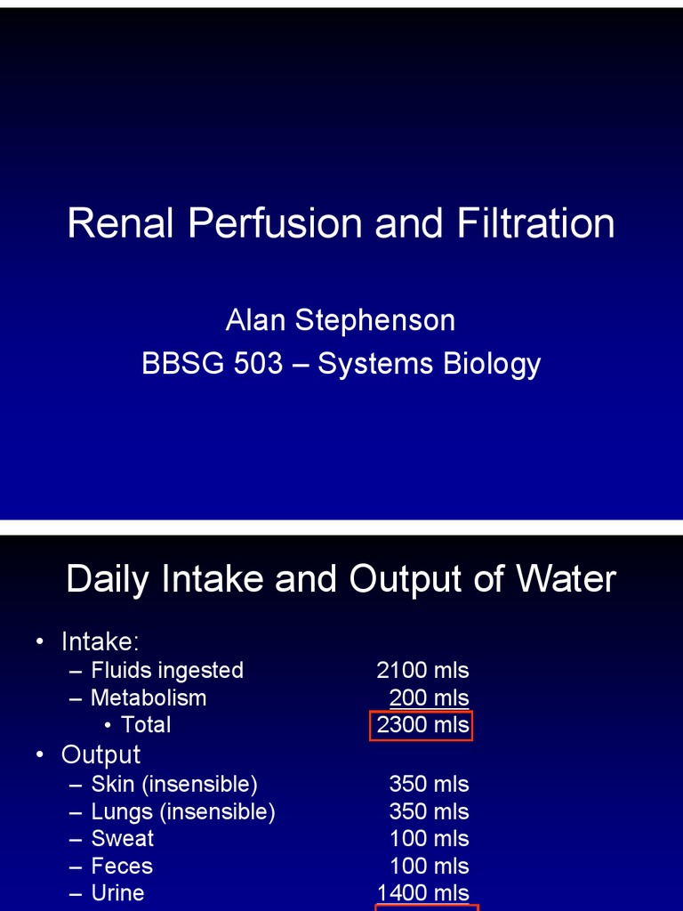Renal Perfusion and Filtration: Alan Stephenson BBSG 503 - Systems ...