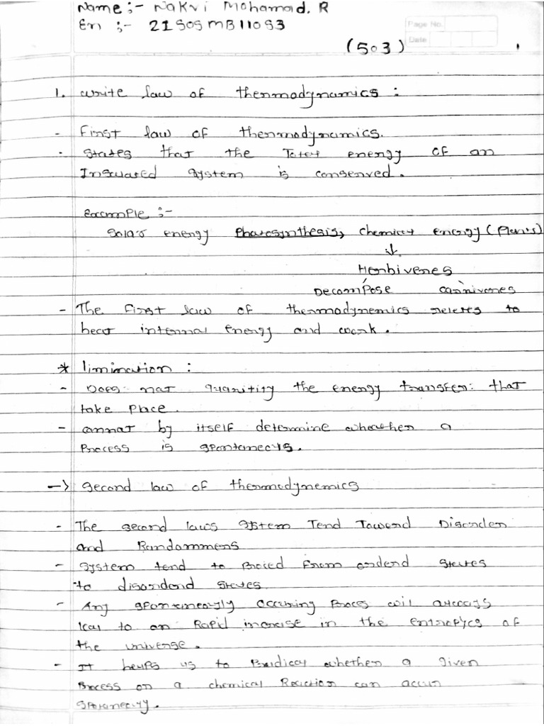 MN Assignment 503 | PDF