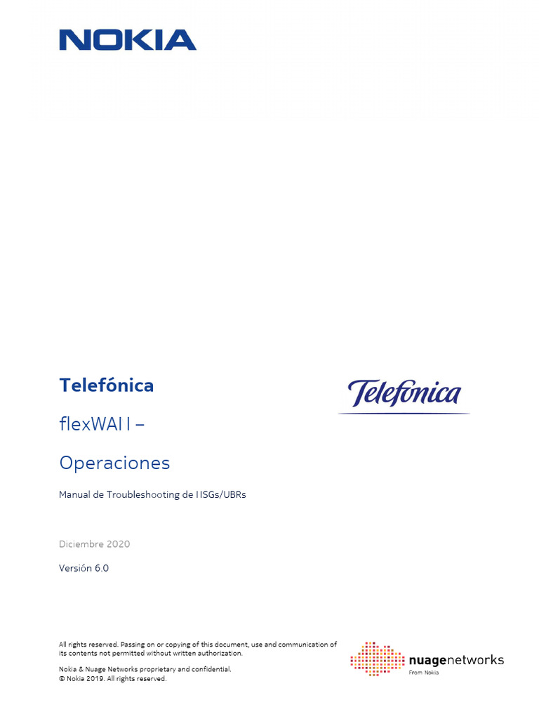 NSG - Troubleshooting - v6 Flex Wan NOKIA | PDF | Protocolos de red ...