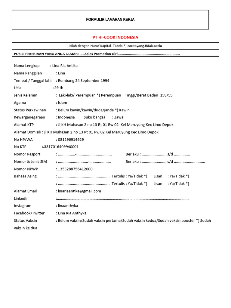 2024 Form Lamaran Kerja Hicook 1 | PDF