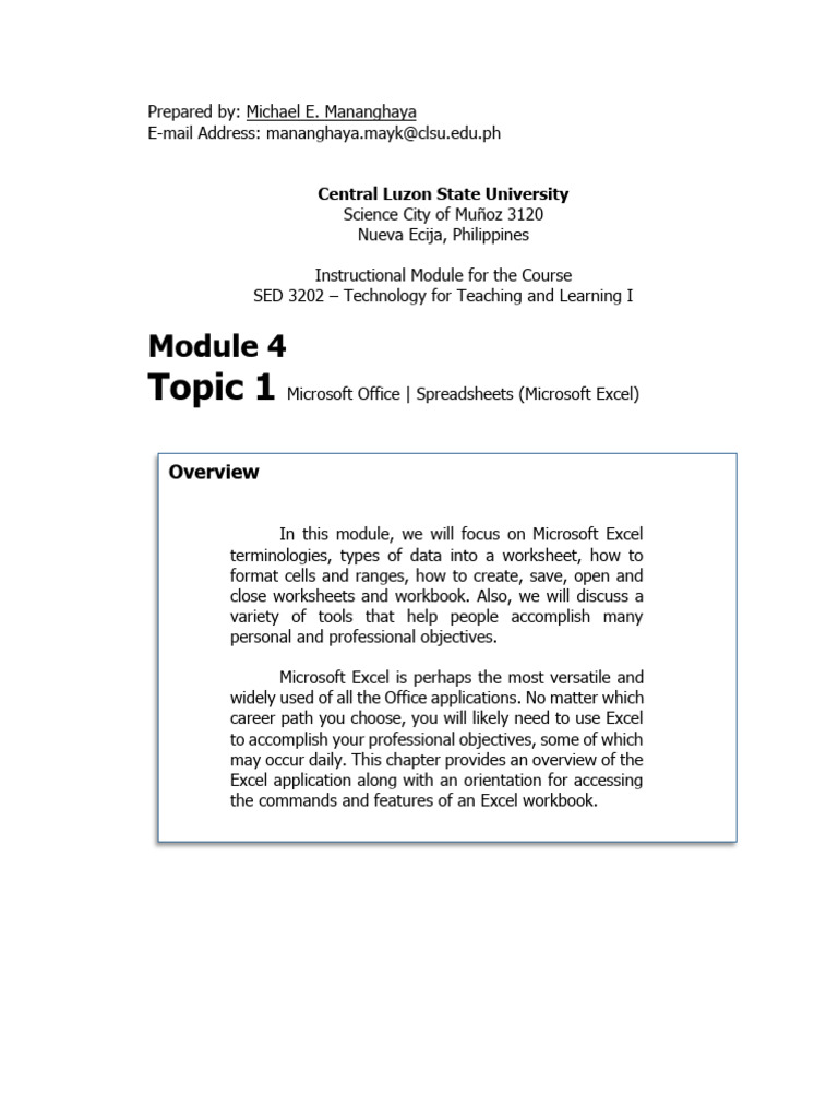 Module 4 Spreadsheet | PDF | Microsoft Excel | Spreadsheet