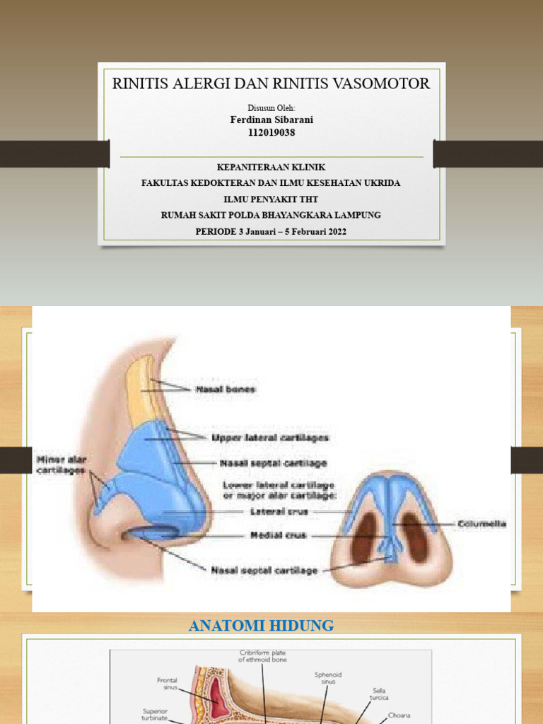 Rinitis Vasomotor Dan Rinitis Alergi | PDF | Sains & Matematika