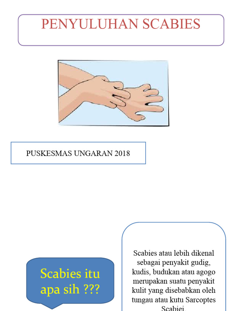 Panduan Lengkap Scabies: Gejala dan Pencegahan | PDF