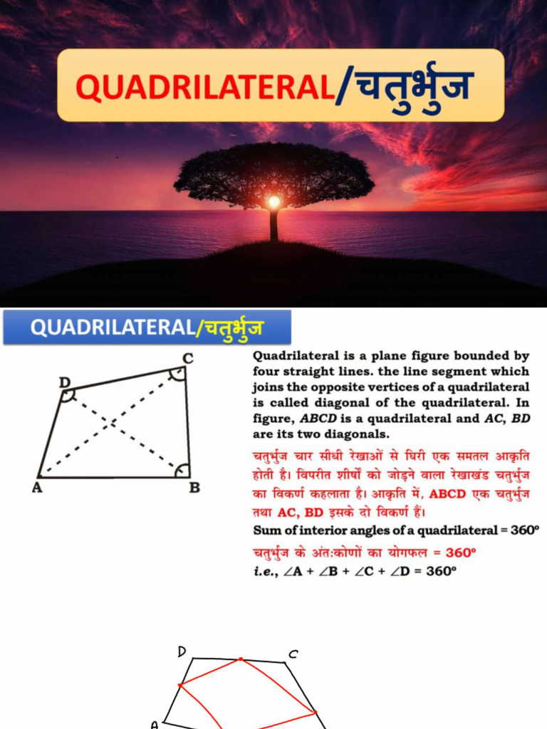 Quadilateral Class Notes | PDF