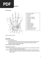 Thumb: Range of Motion | PDF | Thumb | Hand