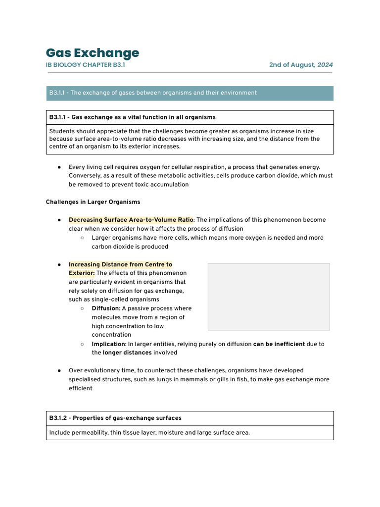 IB Biology Notes | PDF | Hemoglobin | Lung
