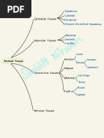 Cbse Class Ix Animal Tissue Flow Chart | PDF | Epithelium | Tissue ...