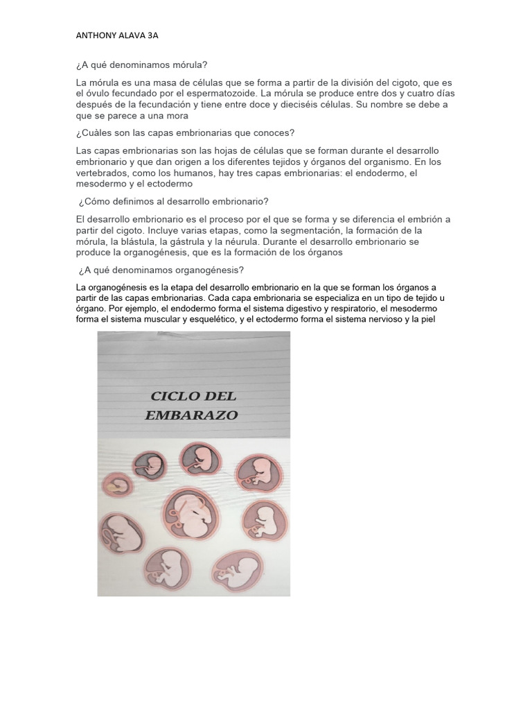 TAREA C | PDF