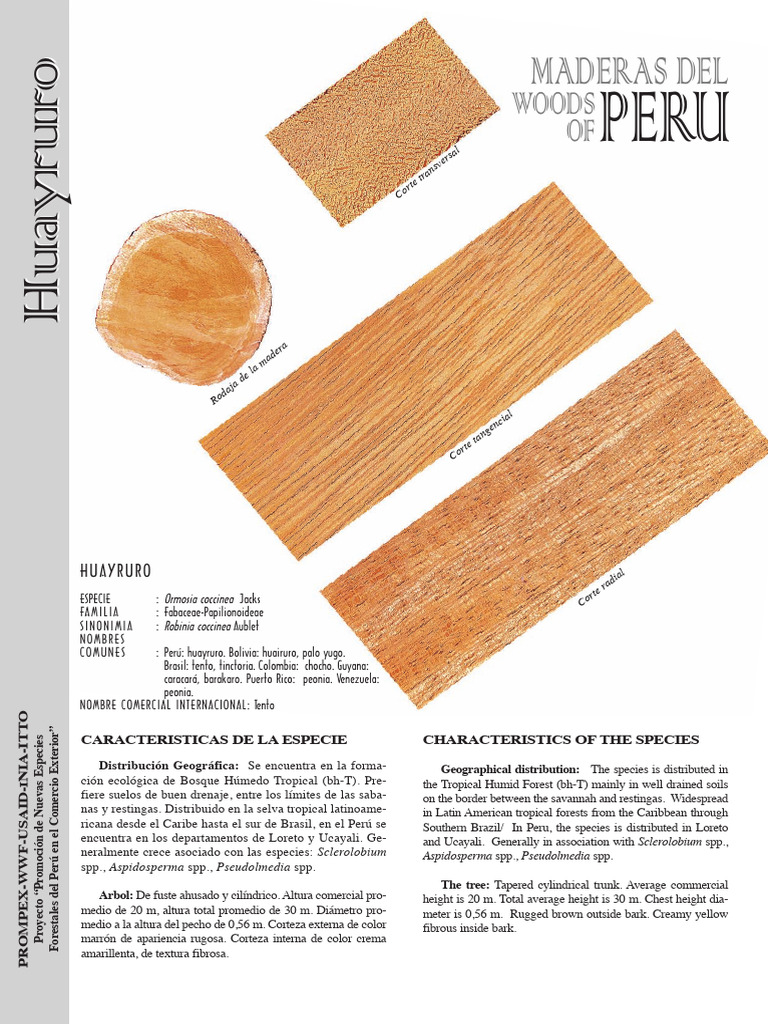 Madera Huayruro | PDF