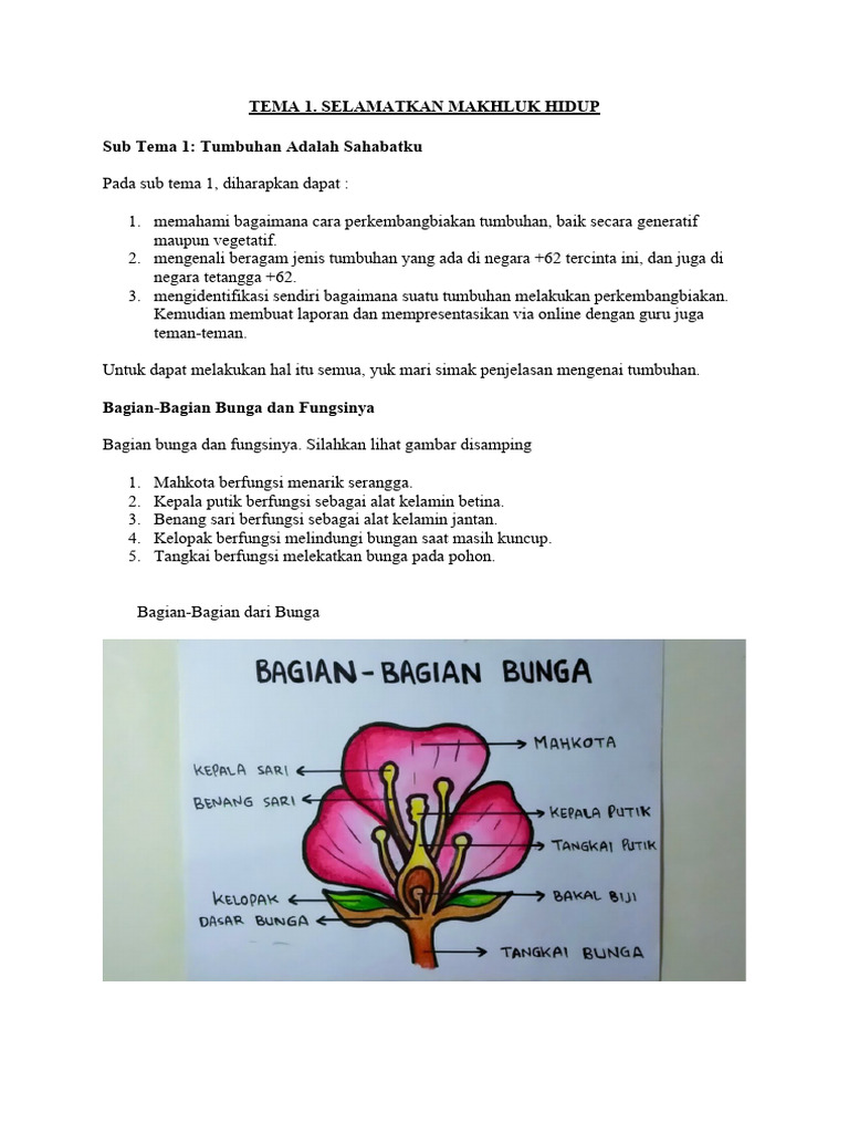 Bahan Ajar IPA | PDF