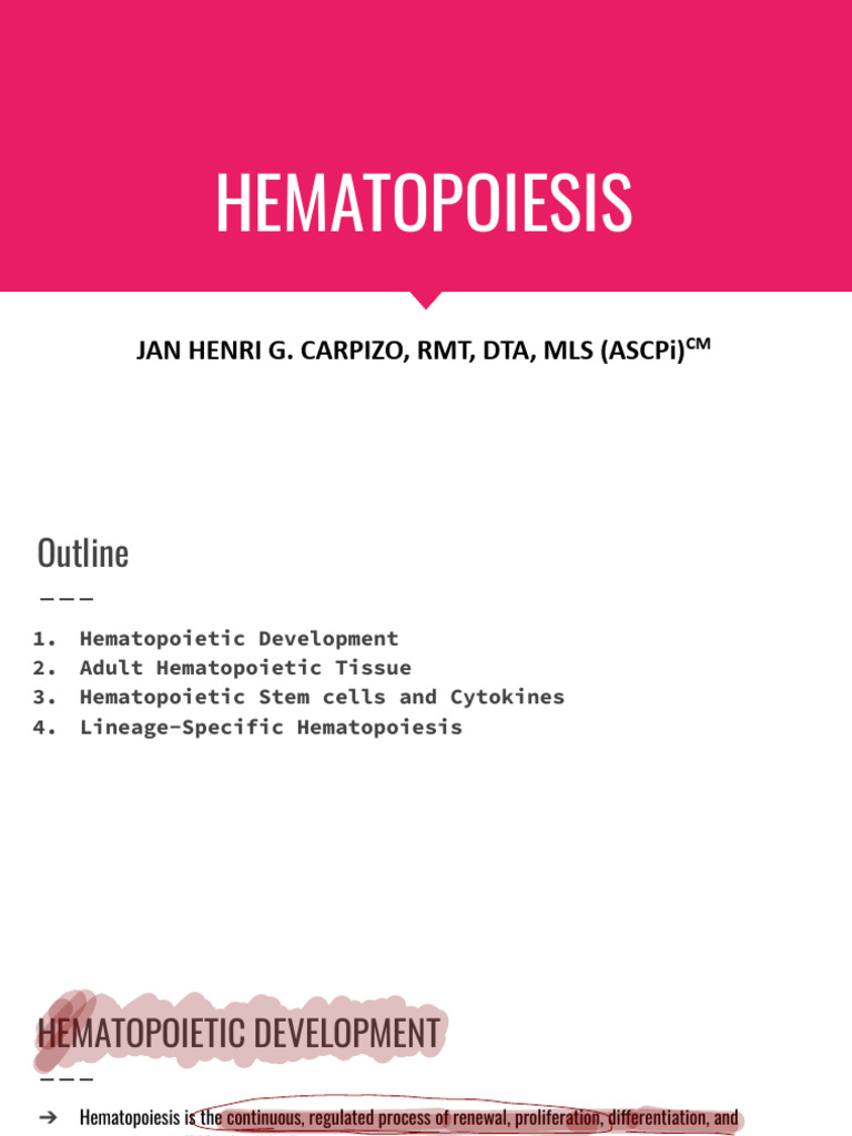 Hematopoiesis.jgc | PDF | Haematopoiesis | Bone Marrow