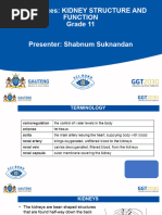 Life Science Grade 11 Term 3 Notes | PDF | Kidney | Urine
