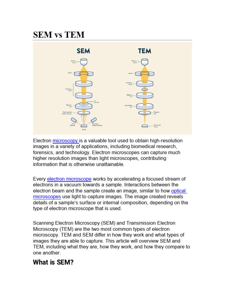 SEM Vs TEM | PDF | Microscope | Scanning Electron Microscope