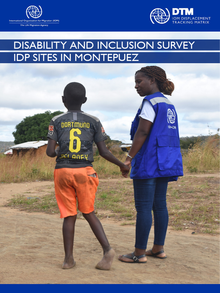 Disability Inclusion Survey in Mozambique | PDF | Disability ...